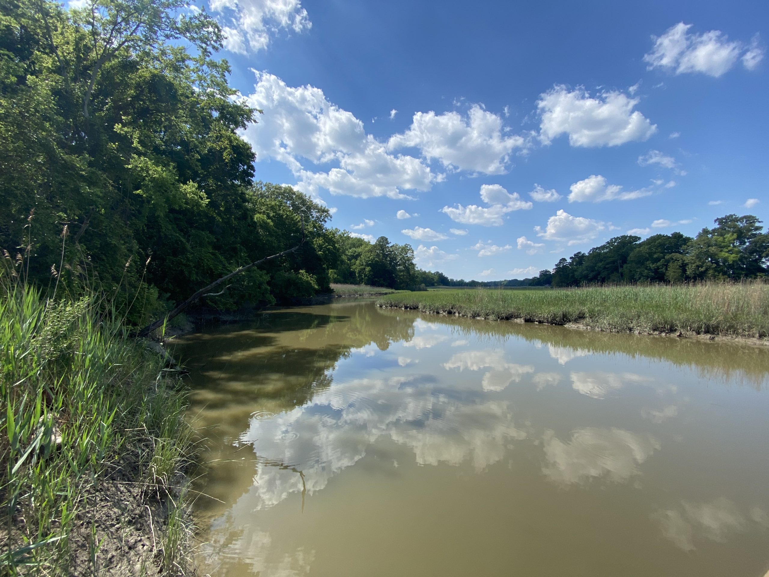 Nansemond Indian Nation - Official Tribal Website